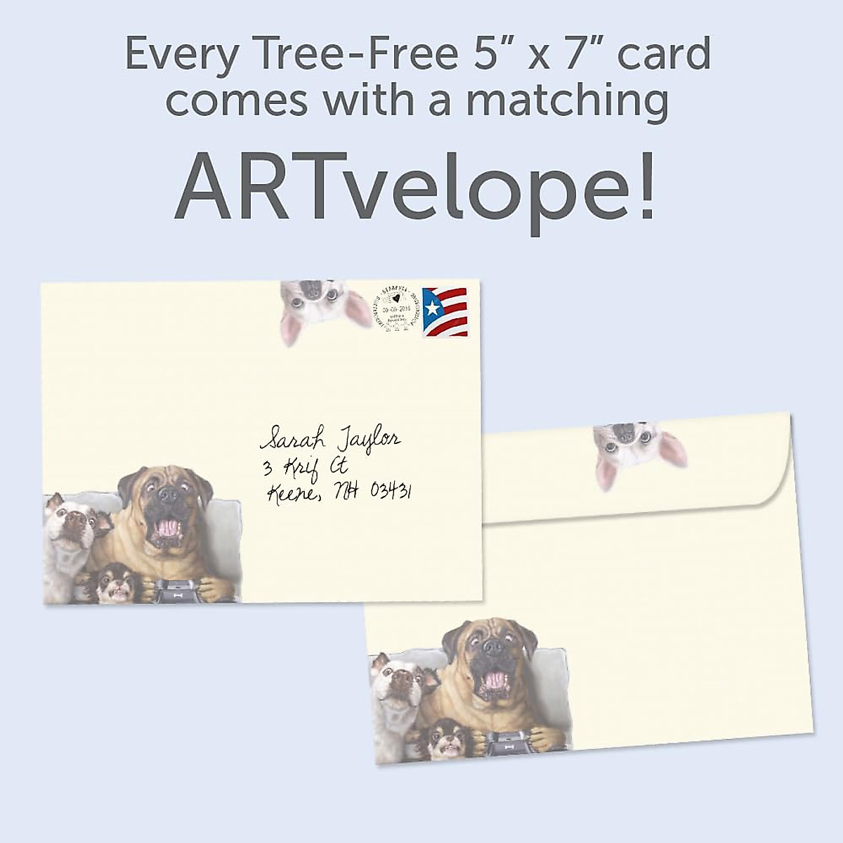 Tree-Free Greetings - Humorous Birthday Cards - Artful Designs - 1 Card + Matching Envelopes - Made in USA - 100% Recycled Paper - 5"x7" - Dog Years (GO61211)