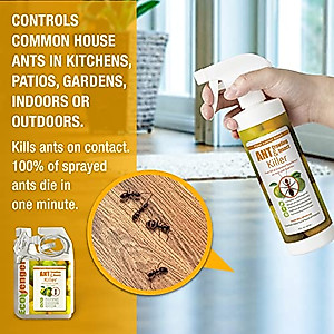 EcoVenger Ant Killer & Crawling Insect Killer, 32oz Ready to Use, Indoor & Outdoor, Kills & Repels, Lasting Prevention, Natural & Non-Toxic Plant Based Formula, Pleasant Citrus Scent