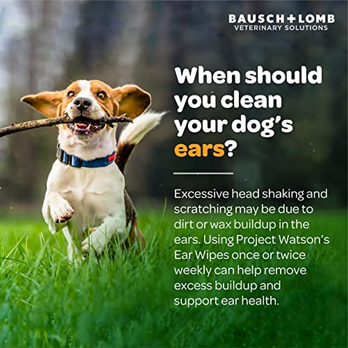 Project Watson Dog Ear Wipes, Gentle pH Balanced Formula to Help Soothe, Cleanse & Moisturize, Contains Aloe Leaf Juice, Hydrogen Peroxide & Fragrance Free, 45 Pre-Moistened Textured Wipes