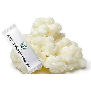 Milk Kefir Grains, Turkish strain, Bulgaros, Pajaritos.