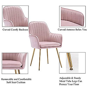 Artechworks Accent Living Dining Room Velvet Arm Chair Club Leisure Guest Lounge Bedroom Upholstered Chair with Gold Metal Legs, Pink