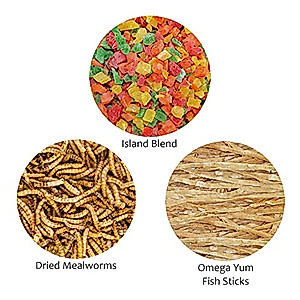 Treat Assortment 3 Pack - Pet Treats with Mix of Dried Fruits, Dried Insects, & Other Crunchies - for Sugar Gliders, Hedgehogs, Squirrels, Rabbits, Marmosets, Rats, Hamsters - Sample Variety