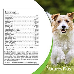 NaturesPlus FurBaby Multivitamin for Dogs - 10.4 oz - Supports Joint Health, Immune Function, Healthy Coat & Energy Production - Non-GMO - 60 Servings