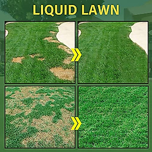Liquid Seeding Grass Lawn Green Spray, Liquid Grass Seed, Garden Lawn Liquid Spray, Green Grass Lawn Spray, Seed Care Watering Set (5pc)