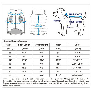 Blueberry Pet 2023 New Cozy & Comfy Windproof Lightweight Quilted Fall Winter Glossy Dog Puffer Jacket in Gold, Back Length 24", Size 22, Warm Coat for Large Dogs