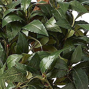 Nearly Natural 4.5’ Sweet Bay Double Topiary Artificial Tree, Green