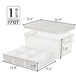 17 Quart Plastic Storage Bins with Lid Building Plate Dividers Block Storage Clear Art Supply Craft Organizers Playroom Container Organizer with Lid for Bead Crayon