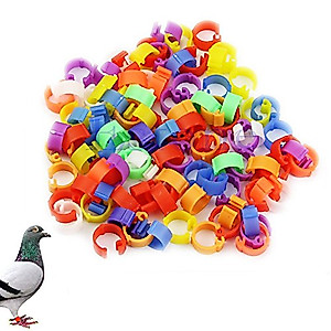 Amrka 100Pcs 8mm Chicken Hen Pigeon Leg Poultry Bird Dove Chicks Duck Parrot Clip Rings Band