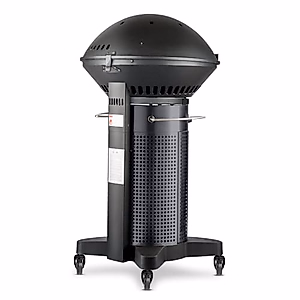 Fuego F24C Professional Propane Gas Grill