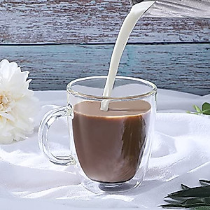 Wwyybfk Double Wall Glass Coffee Mugs,12oz Insulated Glass Espresso Mugs Cups with Handle Lid (Set of 2) for Cappuccino, Latte, Tea (340ml)