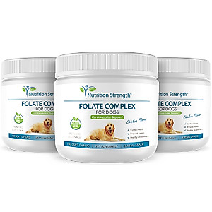 Nutrition Strength Folate for Dogs to Promote Cardiovascular & Prenatal Health, Support DNA Synthesis & Cell Maintenance, Folic Acid for Dogs with Zinc, Biotin, Iron & Vitamin B12, 120 Soft Chews