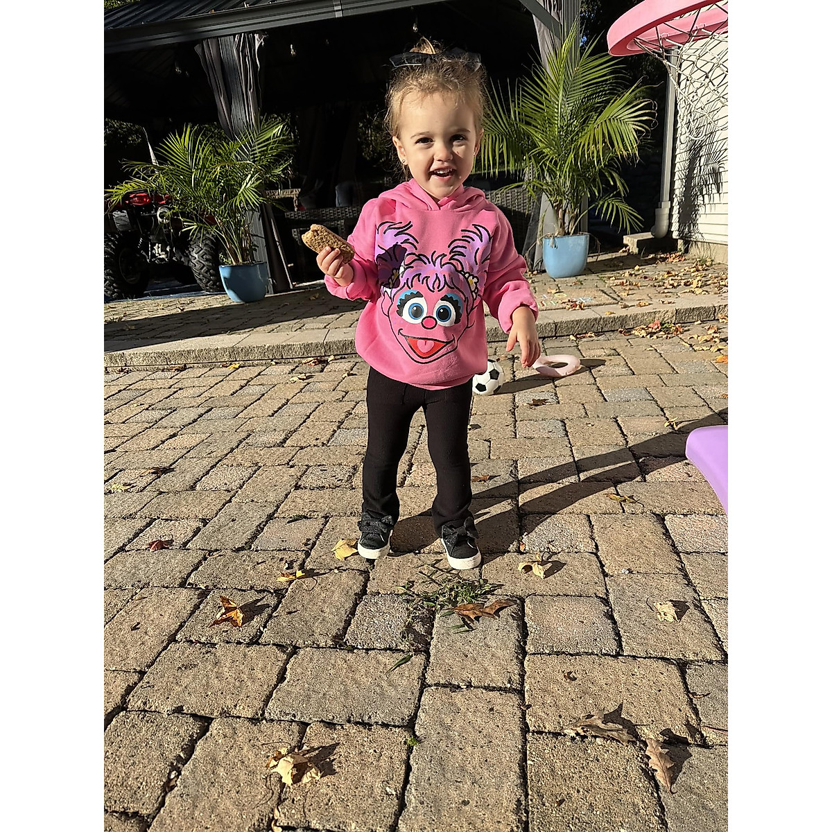 Sesame Street Abby Cadabby Toddler Girls Pullover Hoodie Abby Cadabby 5T