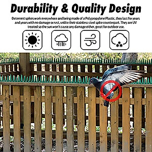 edola Bird Spikes for Outside 20 Pack, Squirrel Cat Dog Pigeon Deterrent, Plastic Animal Defender Spikes for Fence, Keep Cats Birds Away