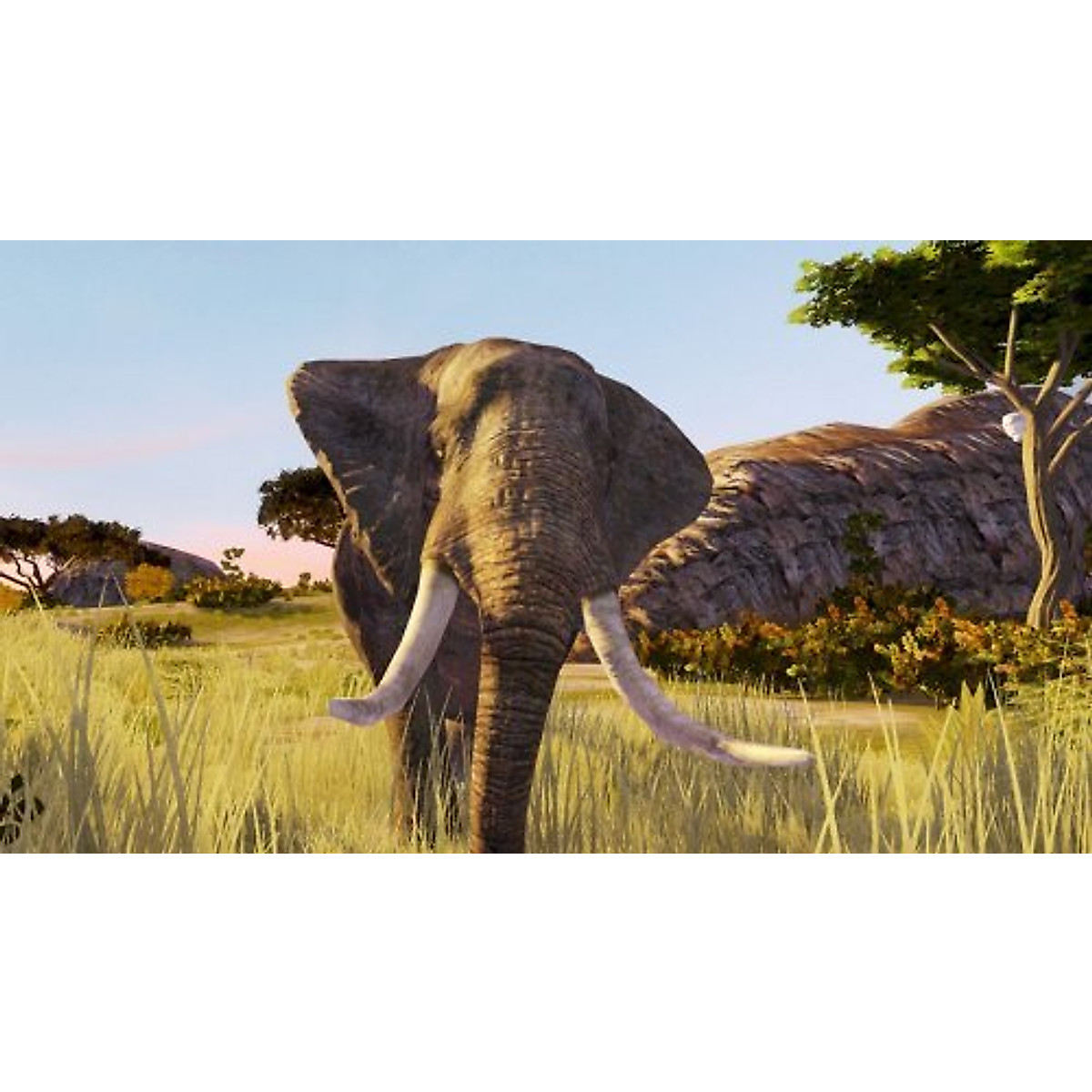 Cabela's Dangerous Hunts '09 - Xbox 360 (Renewed)