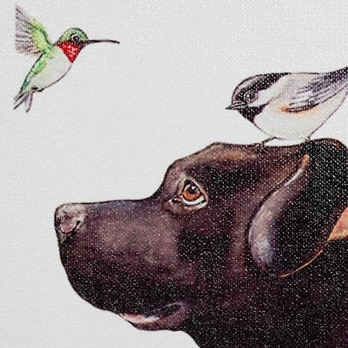 Creative Co-Op Birds & Dog Framed Wall Décor