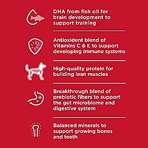 Hill's Science Diet Puppy, Large Breed Puppy Premium Nutrition, Dry Dog Food, Chicken & Brown Rice, 27.5 lb Bag