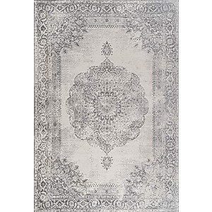 Eyely PDM403C-8 Modern Rosalia Cottage Medallion Indoor Area Rug Bohemian;Traditional;Vintage, Bedroom, Kitchen, Living Room, Easy-Cleaning, Non-Shedding, 8 X 10, Gray/Ivory