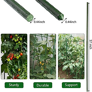 Garden Plant Stakes 57 Inch (Approx 5Ft) Steel Plant Stick Support, 25 Pack Tomato Stakes for Growing Climbing Plants, Potted Plants, Tomatoes, Trees, Cucumber, Beans, Fences Poles
