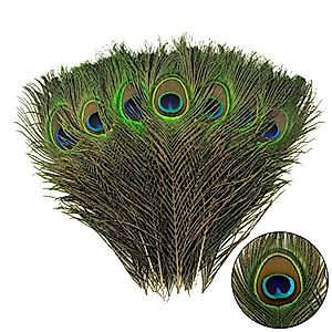 THARAHT 12pcs Peacock Feather Natural in Bulk 10-12 inch 25-30cm for Craft Vase Wedding Home Party Christmas Day Decoration Peacock Feathers