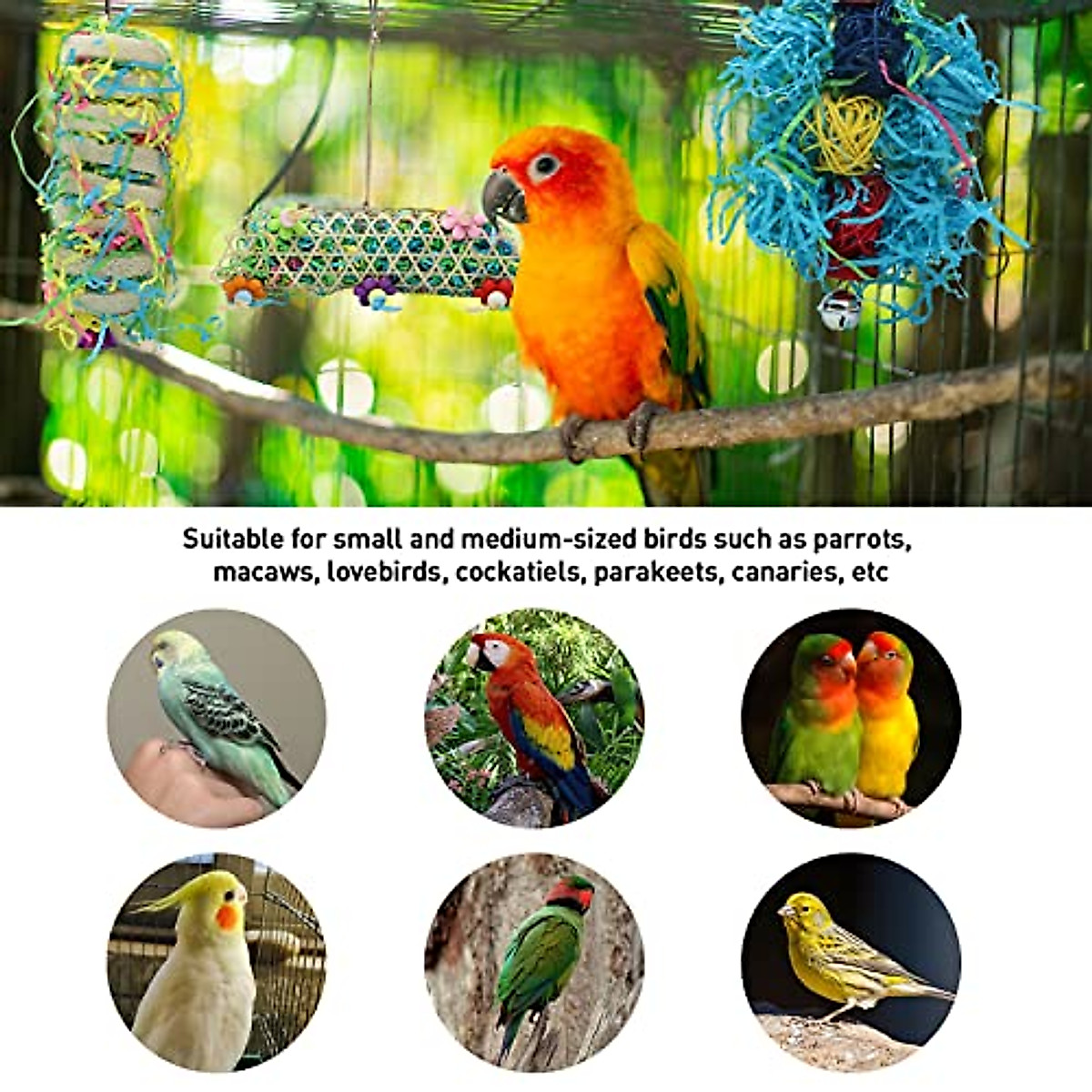 ZOCONE 6 Pcs Bird Toys, Parrot Foraging Chewing Toys, Bird Shredding Toys, Loofah Hanging Parakeet Toys, Cage Accessories for Cockatiels, Conure, Medium/Small Parrots, Finch, Lovebirds, Budgie