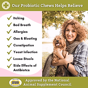 Wholistic Pet Organics: Probiotic Chews for Dogs Digestive Health - 60 Count - Dog Probiotics and Digestive Enzymes - Support Gut Health Immune Supplement Prevents Dog Digestive Problems
