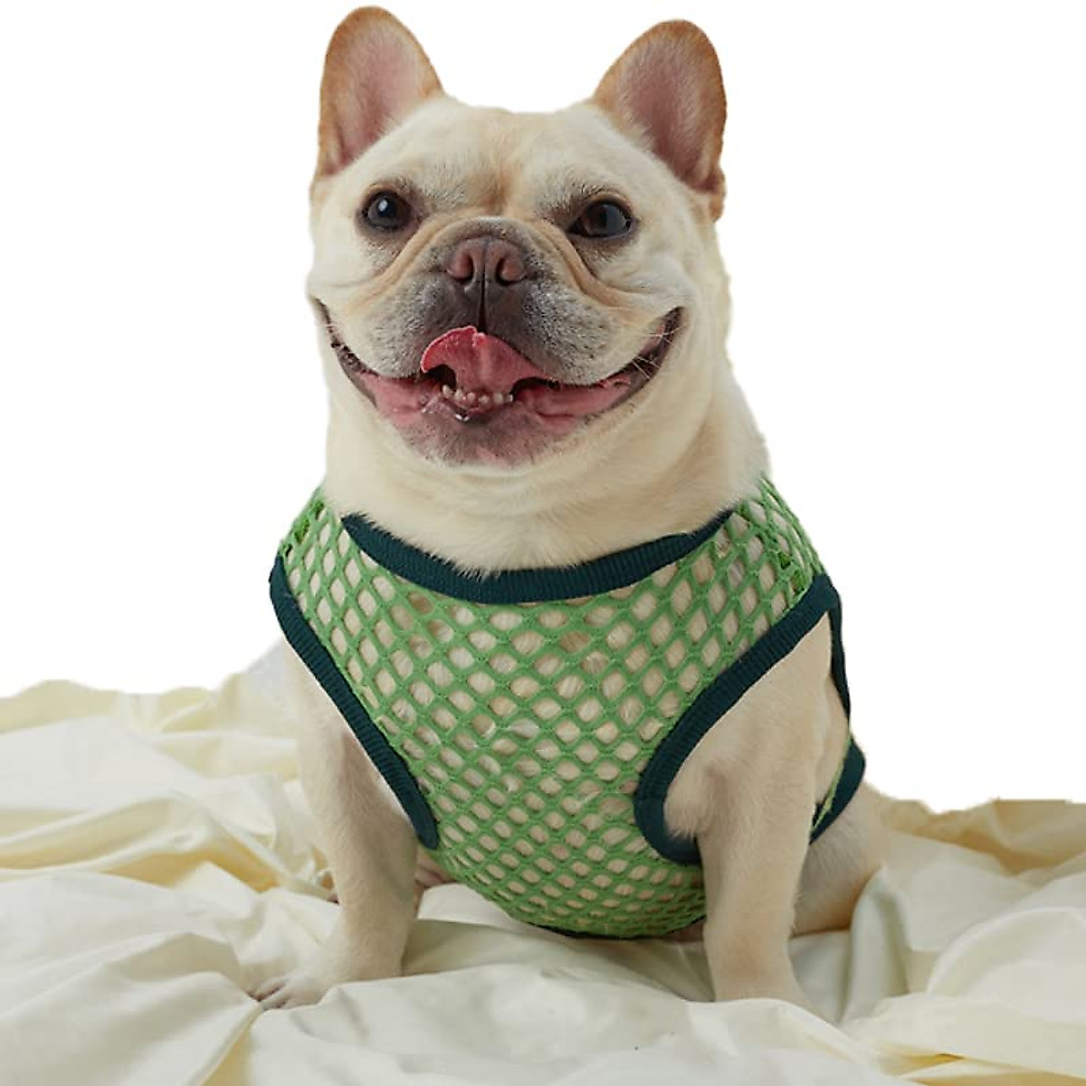 2-Pack with Headband, Mesh Dog Shirt for Pet Clothes Puppy T-Shirts Cat Tee Breathable Stretchy-Puppy Soft Breathable Mesh T-Shirts (M,Green)
