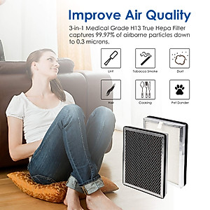 Flintar True HEPA Replacement Filter, Compatible with MA Air Purifier 25 Series, 3-in-1 Pre-filter, H13 True HEPA and Activated Carbon Filter Set, 2-Filters