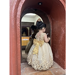 Christening Embroidery Lace Birthday Christmas Easter Flower Baby Girl Dress Princess Formal Prom Tutu Ball Gown 3M Gold B 60