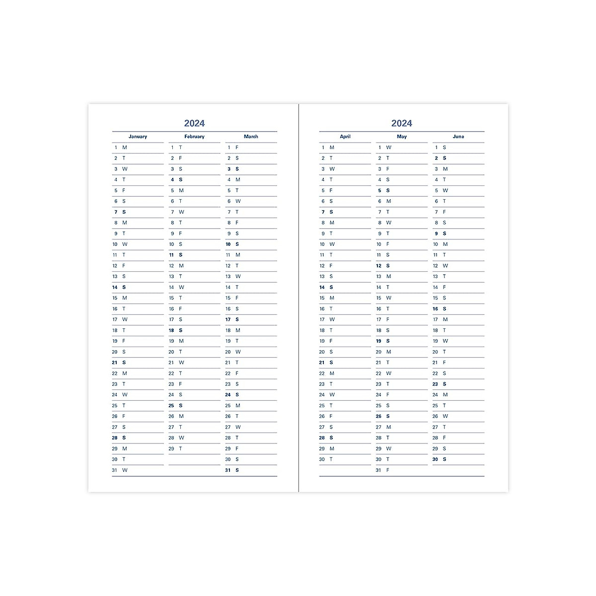 Letts Woodland Medium Pocket week to view 2024 diary - green