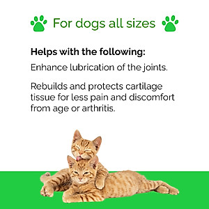 Arthritis & Join Pain Relief Dietary Supplement Small Dogs & Cats by Interfarma Corp | Cartilage Protection, Reduce Inflammation, & Joint Support | with Glucosamine, Chondroitin, Collagen, & MSM.