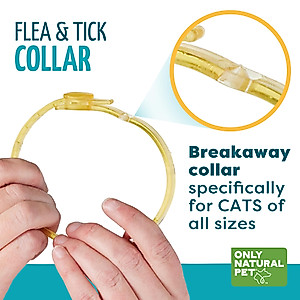 Only Natural Pet EasyDefense Flea & Tick Cat Collar - Feline Flea Collars Flea and Tick Control - Pet Flea Care That Protects up to 4 Months - for Cats (2 Pack)