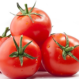 Jobe’s Garden Fertilizer Spikes, Easy Plant Care Fertilizer for Tomato Plants, 18 Count