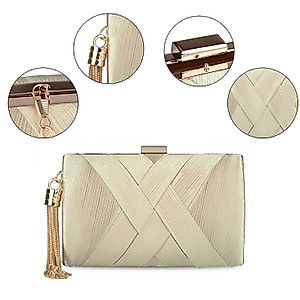 KISSCHIC Women's Elegant Tassel Evening Bag Clutch Purse for Bride Wedding Prom Night Out Party, Red