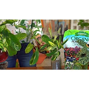 Espoma Organic Potting Soil Mix - All Natural Potting Mix For All Indoor & Outdoor Containers Including Herbs & Vegetables. For Organic Gardening, 1 Cubic Foot. bag. Pack of 1