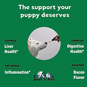 Milk Thistle for Dogs - Supports Liver and Kidney Health - Milk Thistle for Dogs Liver Support - Dog Milk Thistle - Dog Liver Support - Dog Liver Supplement - Milk Thistle Supplement for Dogs - 1 oz