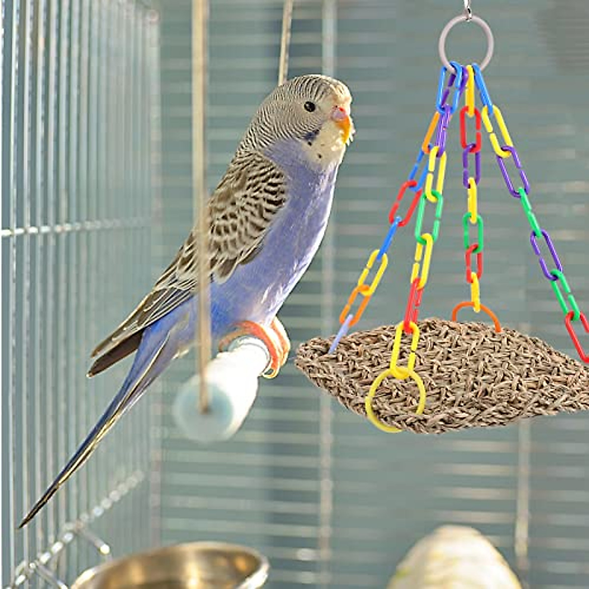 Mipcase 4pcs Cockatiel Chew Natural Perch Chewing Hammock Birdcage with Toys Hanging Cage Wall Bite Mat Parrot Budgerigars Conures Swing Foraging Net Lovebirds Seagrass for