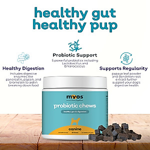 MYOS Probiotic Chew for Dogs - Daily Digestive Support, Promotes Complete Gut Health, Aids Digestion, Enhances Nutrient Absorption, Supports Healthy Stool - All-in-One Chewable Supplement