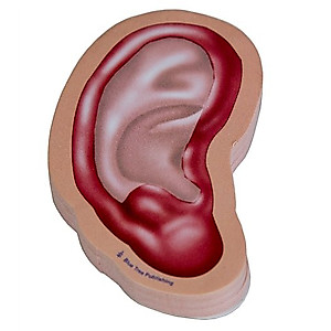 Hearing Gift Box Collection 2, 12 Pack for Audiologist, Students or Hearing Professional