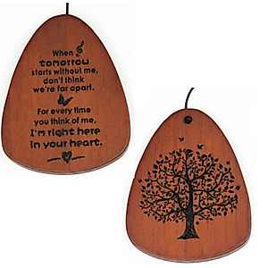 The Wind Chime CO Memorial Wind Chimes, Sympathy Wind Chimes Gift for The Loss of A Loved one, Home Decor Outdoor Garden, Soothing Melodic Tones with Mute Option.