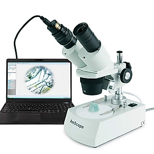 AmScope SE306R-AZ-E1 Digital Forward-Mounted Binocular Stereo Microscope, WF10x and WF20x Eyepieces, 20X/40X/80X Magnification, 2X and 4X Objectives, Upper and Lower Halogen Lighting, Reversible Black/White Stage Plate, Arm Stand, 120V, Includes 1.3MP Cam