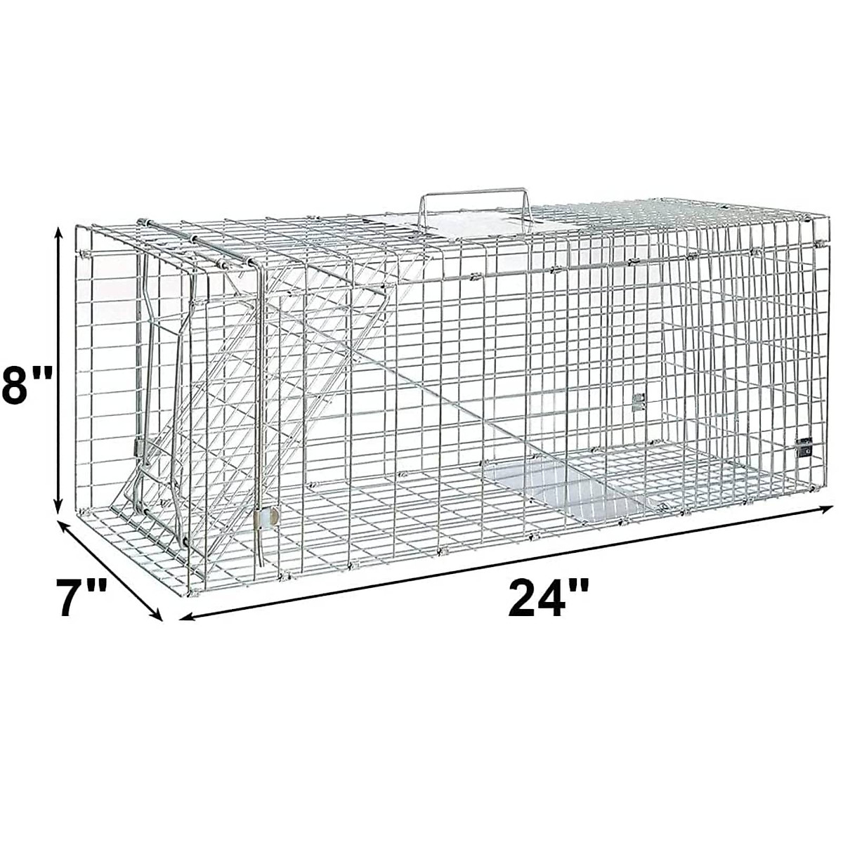 Humane Catch and Release Live Animal Trap Cage Cat Trap for Raccoons Groundhogs Mouse Squirrel Traps 24 Inch Steel Outdoor Small Animal Trap No-Kill Trapping Kit Collapsible & Easy to Use