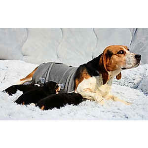 Dog Anxiety Vest with Artificial Nipple| Dog Belly wrap, reducing Anxiety, Pain| Dog weaning Control Suit| Dog Recovery Suit for Injury.