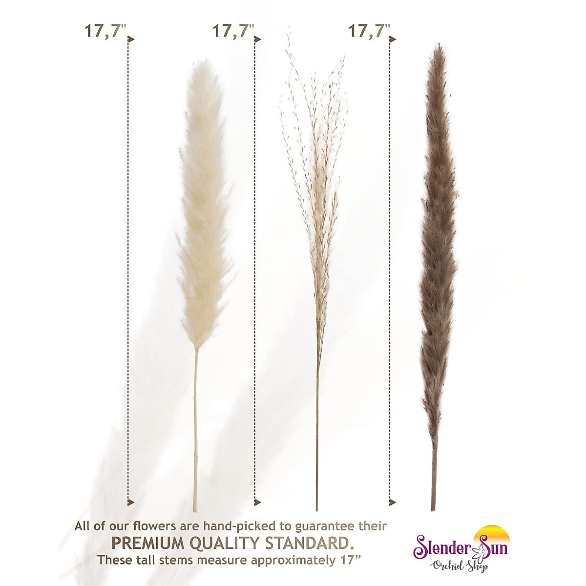 Spear SLENDERSUN Orchid Bouquet Dried Pampas Grass – Pack of 60 Pcs Tall Stems (17,7”) Soft & Fluffy Floral Bouquets Minimalist, Rustic, Luxury Home Garden Décor, White, Brown, Reed