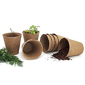 Daniel's Plants 3” Peat Pots | Plant Pots for Seedlings & Seed Starter Nursery Pots | Organic Biodegradable Plant Pots | Eco Friendly | Bonus 10 Wooden Plant Garden Labels | Bulk 60 Pack | 3 Inch