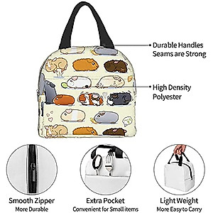 Xuhua Guinea Pig Parade Lunch Bag Boxes Tote Insulated Reusable,Lunch Bag Lunchbox Durable Waterproof Zipper Hangbag Portable for Boys Girls School Supplies