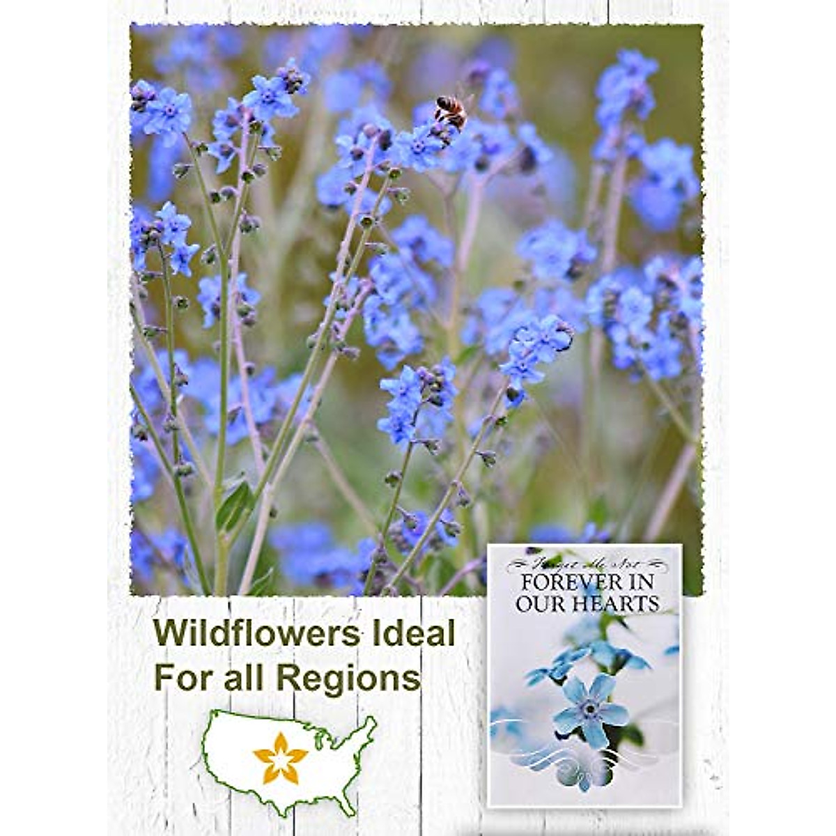 American Meadows Wildflower Seed Packets "Forever in Our Hearts" Memorial Favors (Pack of 20) - Forget-me-Not Seed Mix, Favors for Funerals, Wakes, Viewings, Visitations, Memorial Services