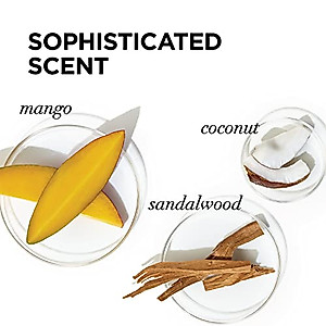 L'Oreal Paris EverCurl Sulfate Free Shampoo and Conditioner Kit for Curly Hair, Lightweight, Anti-Frizz Hydration, Gentle on Curls, with Coconut Oil, 8.5 Ounce, Set of 2 (Packaging May Vary)