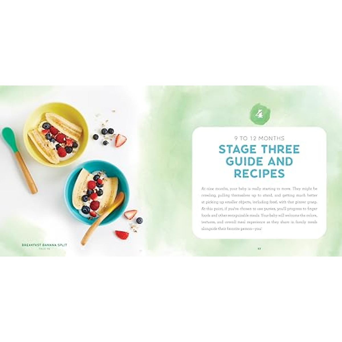 Stage-by-Stage Baby Food Cookbook: 100+ Purées and Baby-Led Feeding Recipes for a Healthy Start