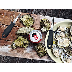 ZZJKeep 10 Pack Oyster Knife,Stainless Steel Seafood Opener Tool,Clam Shellfish and Oyster Knife Shucker with Nylon Handle, Oyster Shucking Knife Set for Shucking Oysters