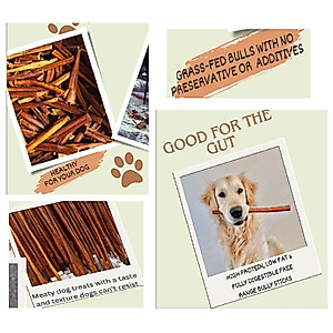 ELITE TREAT Natural Odor Bully Sticks for Dogs，Healthy Long Lasting Pizzle Chews (6 Inch, 24 Pack)，All Natural，Free Range 100% Grass-Fed Beef，Grain-Free (Medium/Thin)